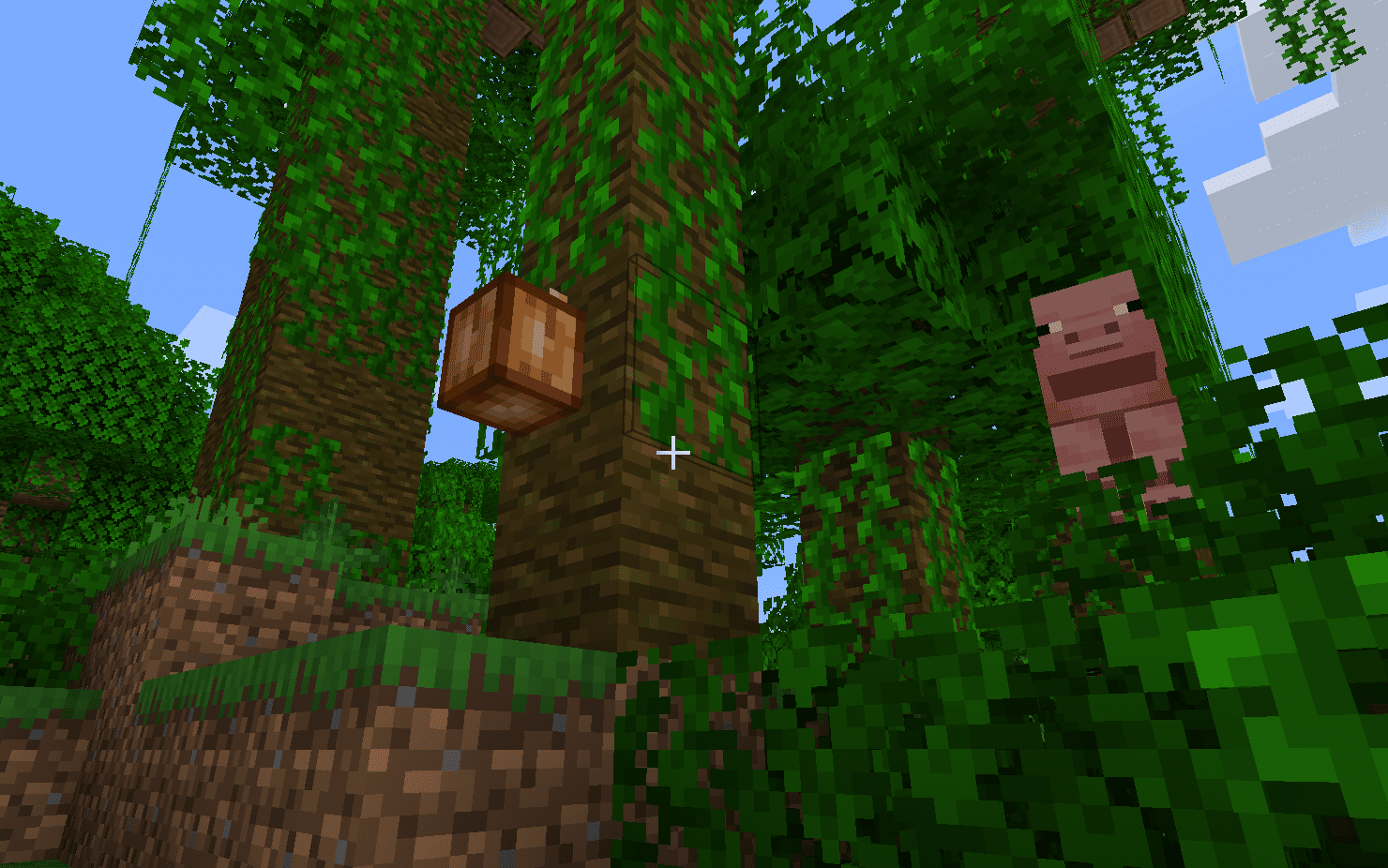 How to Grow Cocoa Beans in Minecraft: A Farmer's Guide