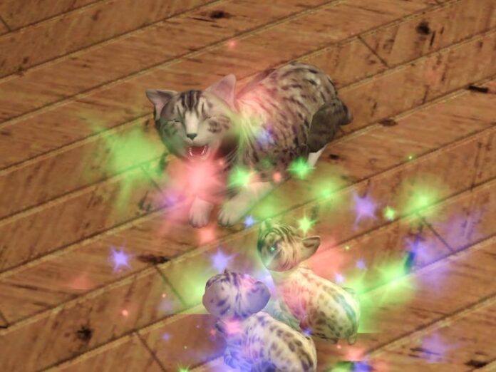 How to Breed Pets in Sims 3: Cats, Dogs and Horses - Increase Gaming